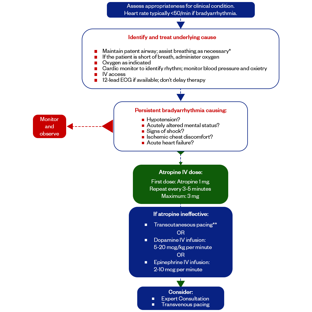 ACLS Algorithm Guide Simplify Life Saving Techniques