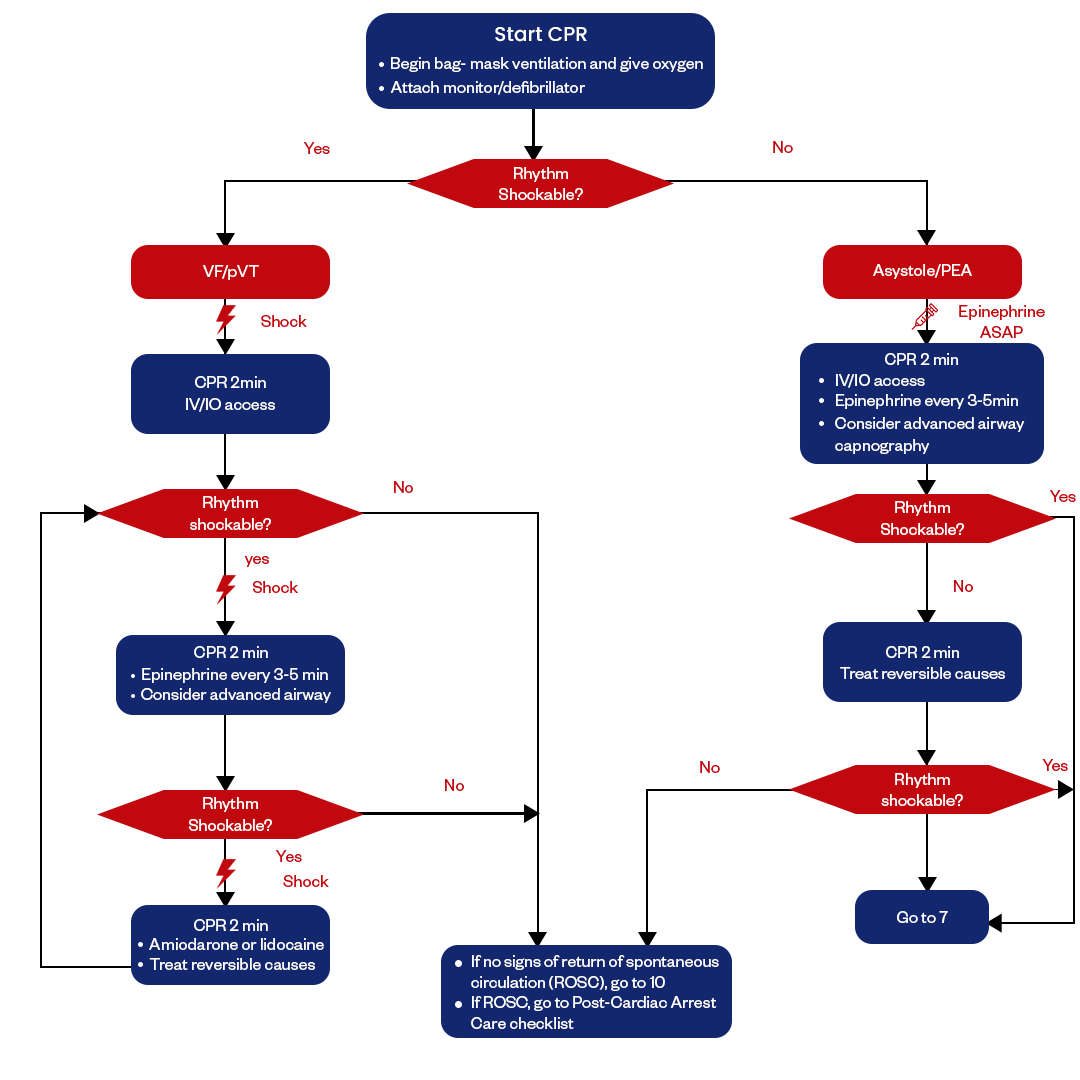PALS Algorithm Pediatric Emergency Care