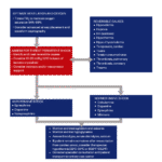 PALS Algorithm | Pediatric Emergency Care