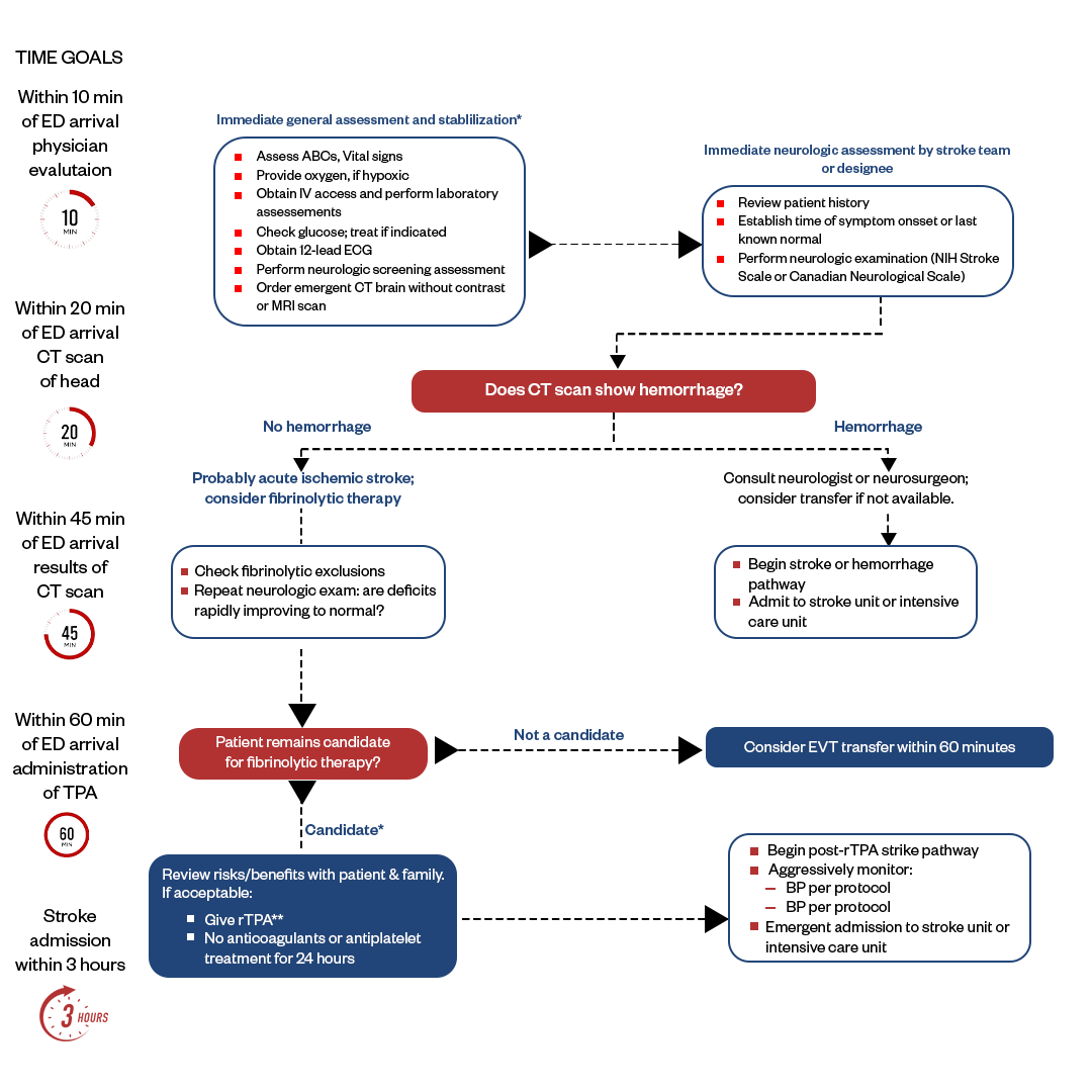 ACLS Algorithm Guide Simplify Life Saving Techniques ACLS Algorithm Guide Simplify Life Saving Techniques