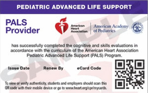 AHA PALS Certification Courses | Bayside CPR