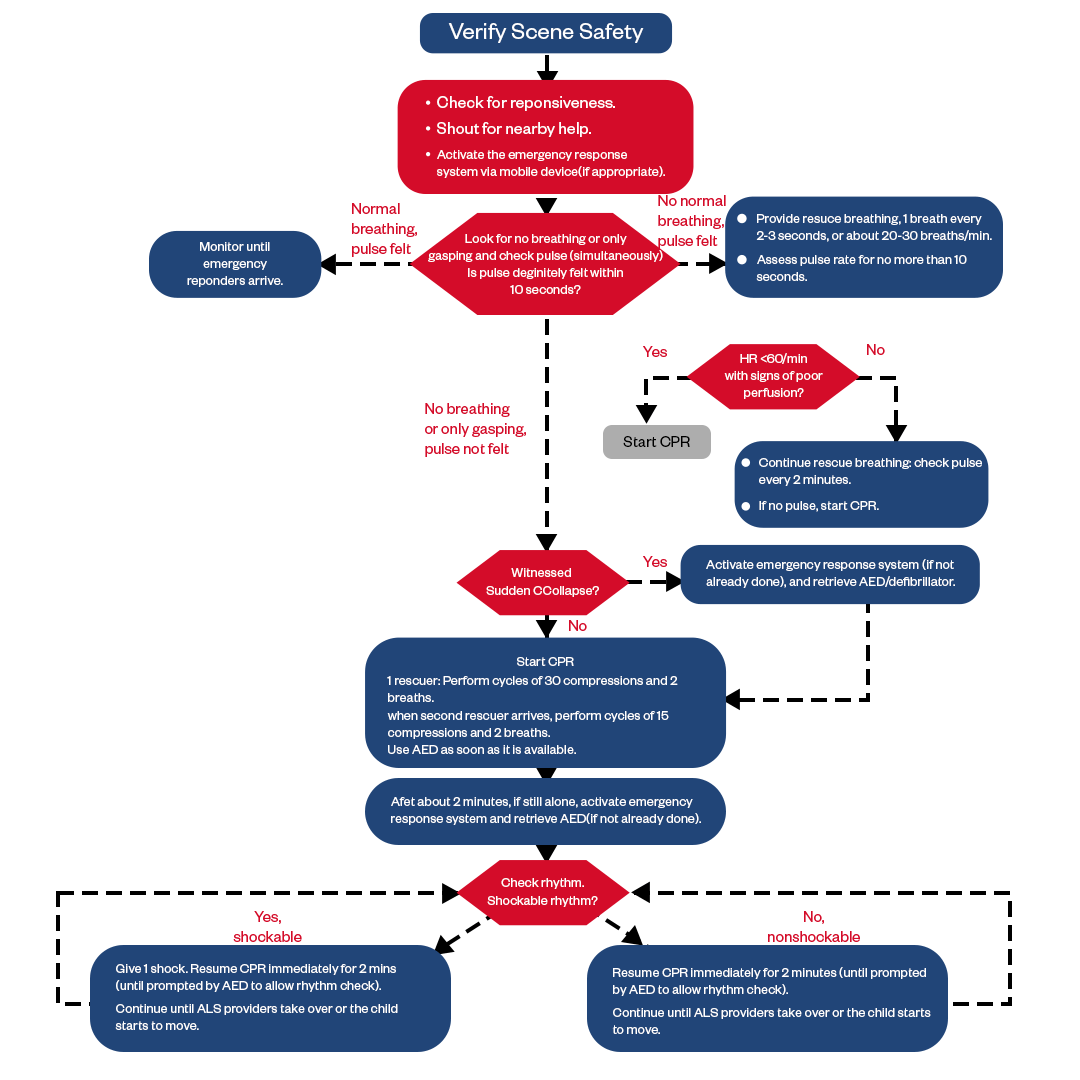 BLS Algorithm: Essential Guide to Basic Life Support Techniques