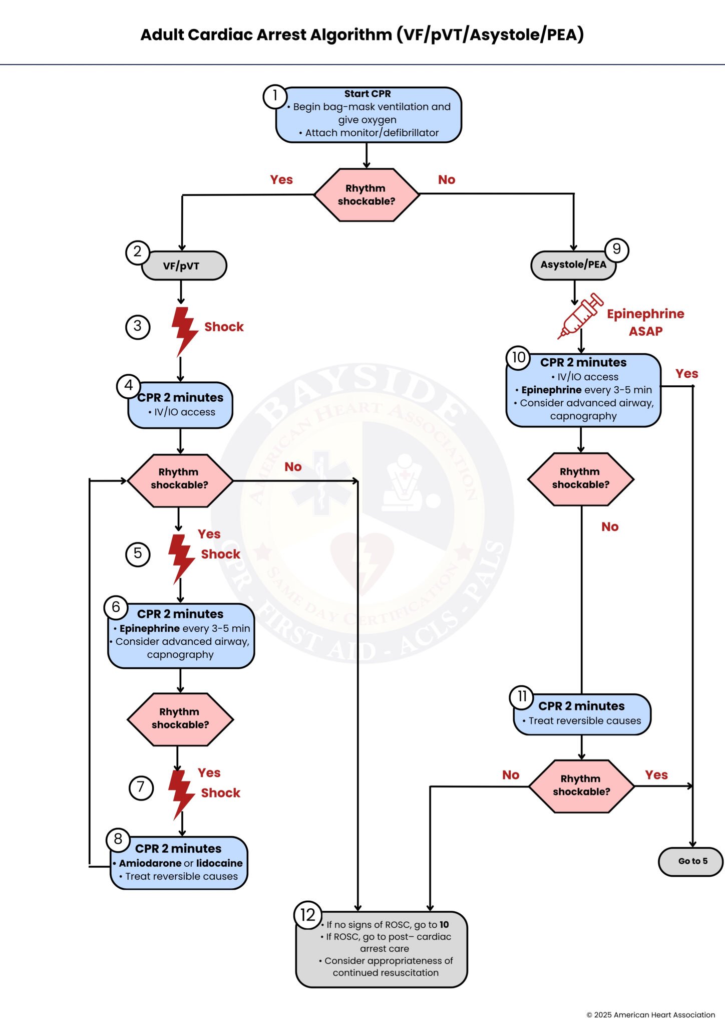 Adult Cardiac Arrest Care Algorithm | CPR & ALS Guide