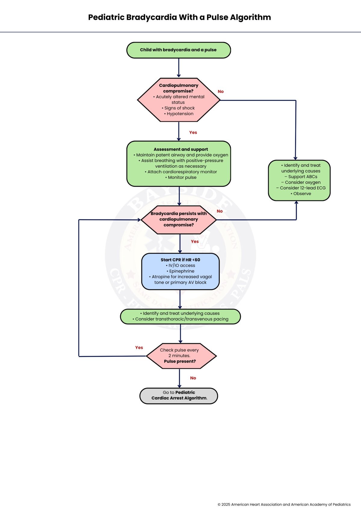 AHA Pediatric Bradycardia with a Pulse Algorithm Guide