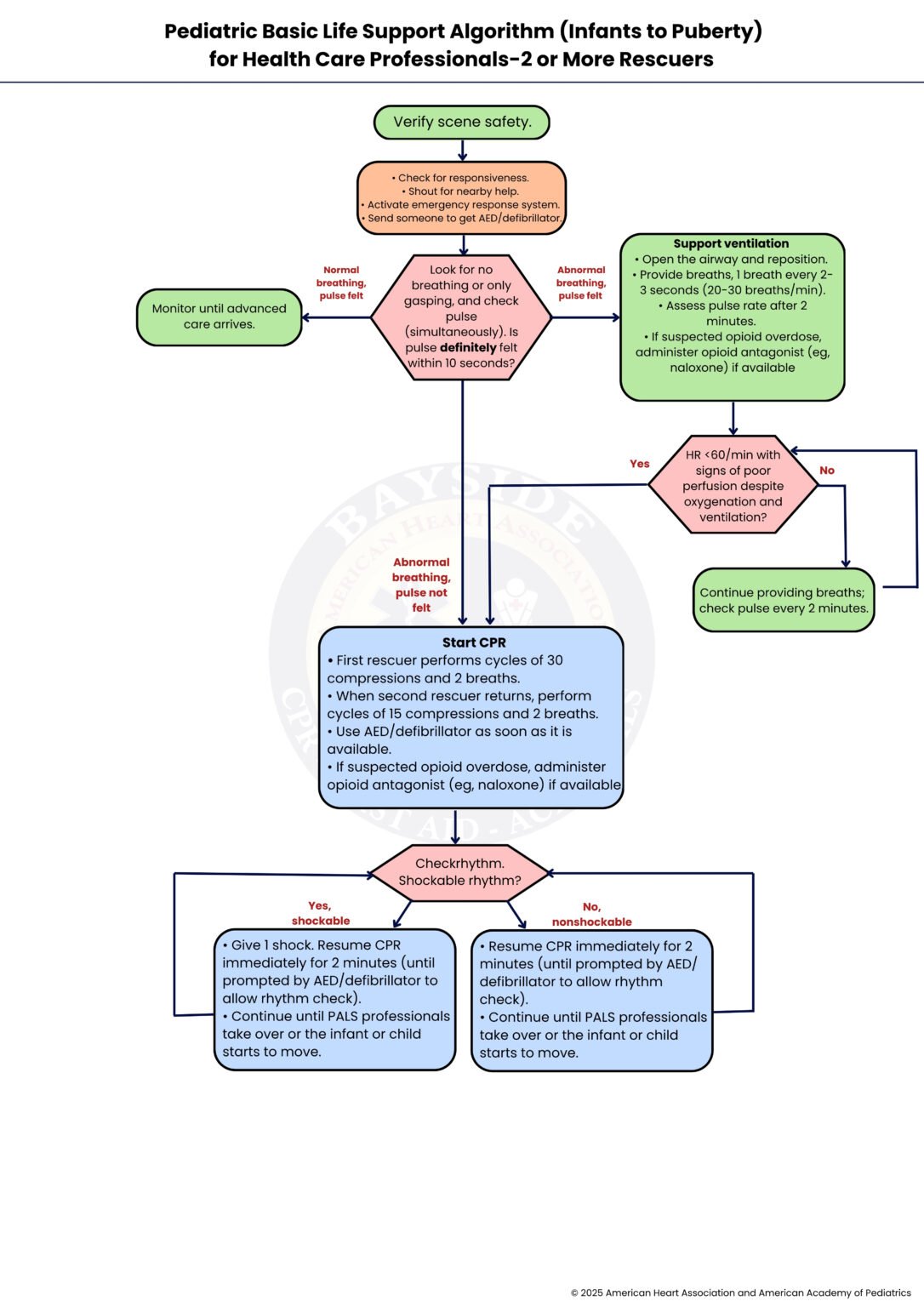 BLS Algorithm: Essential Guide to Basic Life Support Techniques