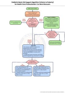BLS Algorithm: Essential Guide to Basic Life Support Techniques