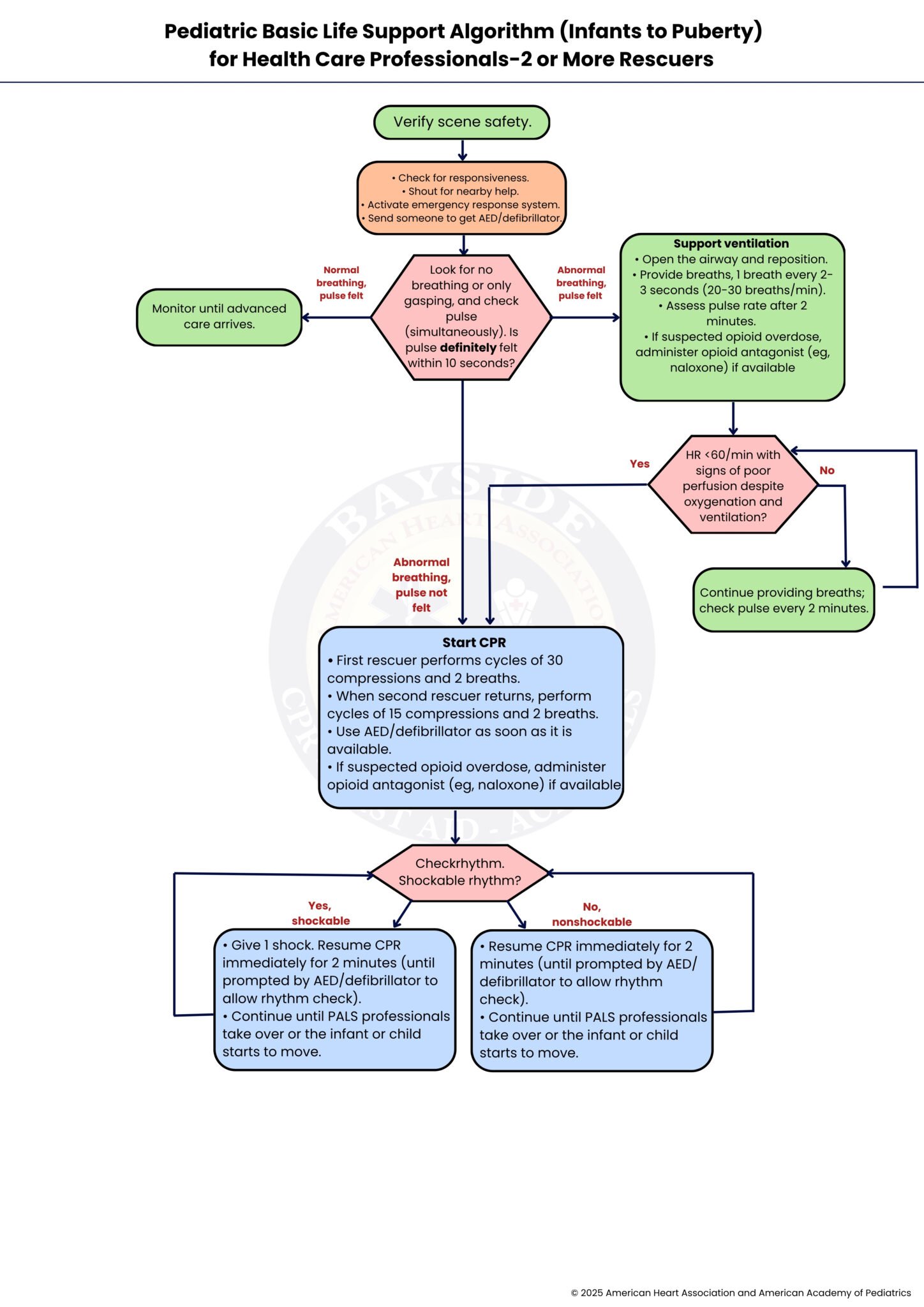 Pediatric BLS Algorithm: 2+ Rescuers Infant to Puberty